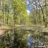 Tobico Marsh Trail, Michigan - 648 Reviews, Map | AllTrails