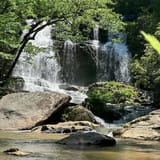 Long Creek Falls, South Carolina - 580 Reviews, Map | AllTrails
