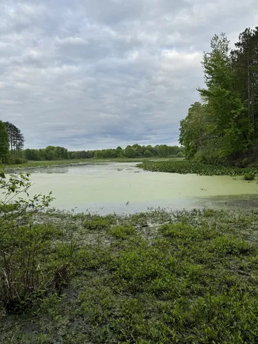 Best Walking Trails in Mogadore | AllTrails