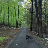 Ramapo Reservation Loop Trail, New Jersey - 1,736 Reviews, Map | AllTrails