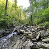 Daniel Ridge Loop, North Carolina - 1,878 Reviews, Map | AllTrails