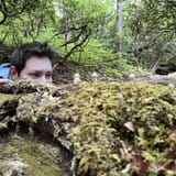 Daniel Ridge Loop, North Carolina - 1,905 Reviews, Map | AllTrails