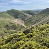 Long Mynd Circular, Shropshire, England - 1,182 Reviews, Map | AllTrails