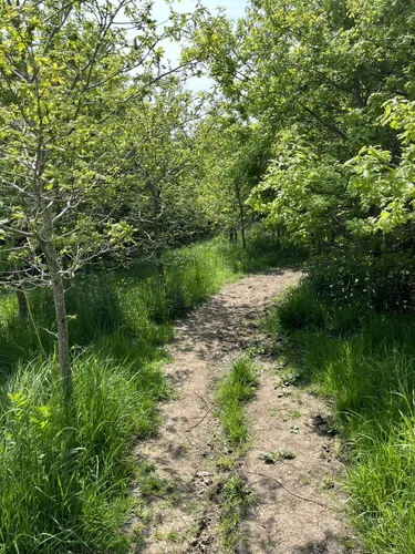 Best Lake Trails in Colne Valley Park | AllTrails