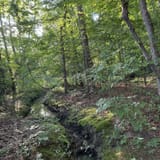 Lake Crabtree Loop Trail, North Carolina - 782 Reviews, Map | AllTrails