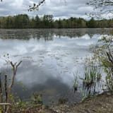 Burrage Pond Loop, Massachusetts - 444 Reviews, Map | AllTrails