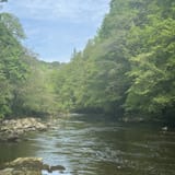 Hackfall Explorer, North Yorkshire, England - 428 Reviews, Map | AllTrails