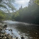 Hackfall Explorer, North Yorkshire, England - 428 Reviews, Map | AllTrails