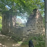 Hackfall Explorer, North Yorkshire, England - 428 Reviews, Map | AllTrails