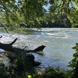 Jones Bridge Trail , Georgia - 2,722 Reviews, Map | AllTrails