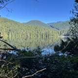 Sasamat Lake Loop Trail - Woodhaven Trail - Woodhaven Swamp Loop Trail ...