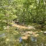 Paw Paw and Chinkapin Trail Loop, Kentucky - 504 Reviews, Map | AllTrails