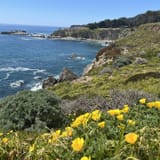 Salt Point Trail to Stump Beach, California - 755 Reviews, Map | AllTrails