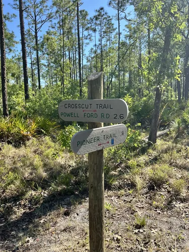 Best Walking Trails in Jennings State Forest | AllTrails