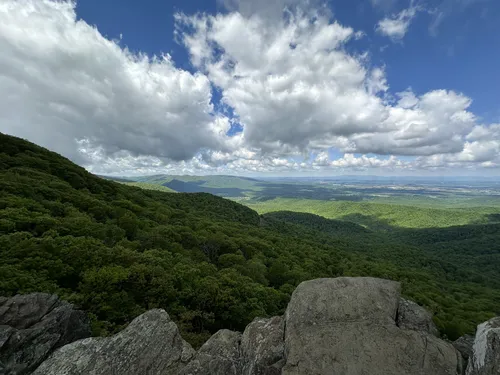 Best Forest Trails in Wintergreen Resort | AllTrails