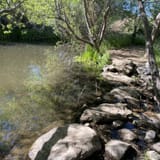 Oak Glen Preserve Trails, California - 792 Reviews, Map | AllTrails