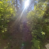 Oak Glen Preserve Trails, California - 675 Reviews, Map | AllTrails