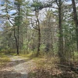 Freetown Fall River State Forest Loop, Massachusetts - 347 Reviews, Map ...
