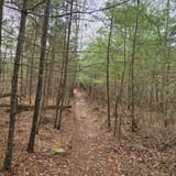 Freetown Fall River State Forest Loop, Massachusetts - 347 Reviews, Map ...