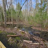 Freetown Fall River State Forest Loop, Massachusetts - 347 Reviews, Map ...