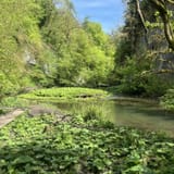 Chee Dale Gorge Circular, Derbyshire, England - 1,403 Reviews, Map ...