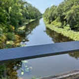 Levee Trail, Florida - 154 Reviews, Map | AllTrails