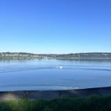 Point Defiance Park Outer Loop, Washington - 3,937 Reviews, Map | AllTrails