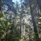 Point Defiance Park Outer Loop, Washington - 3,995 Reviews, Map | AllTrails