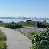 Seattle Waterfront Pathway, Washington - 719 Reviews, Map | AllTrails