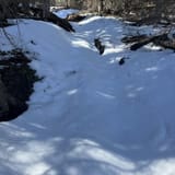 Tibble Fork Loop Trail, Utah - 807 Reviews, Map | AllTrails