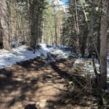 Tibble Fork Loop Trail, Utah - 807 Reviews, Map | AllTrails