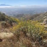 The M Hike, California - 1,111 Reviews, Map | AllTrails