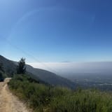 Henninger Flats Trail, California - 2,944 Reviews, Map | AllTrails