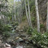Etiwanda Falls Trail, California - 5,954 Reviews, Map | AllTrails