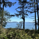 Washington Park Loop Road, Washington - 1,903 Reviews, Map | AllTrails