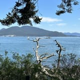 Washington Park Loop Road, Washington - 1,903 Reviews, Map | AllTrails