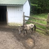 Tyler State Park Trail, Pennsylvania - 1,661 Reviews, Map | AllTrails