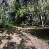 Puddingstone Reservoir Loop, California - 1,986 Reviews, Map | AllTrails