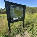 Puddingstone Reservoir Loop, California - 1,986 Reviews, Map | AllTrails