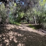 Puddingstone Reservoir Loop, California - 1,986 Reviews, Map | AllTrails