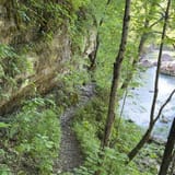 Twin Falls Trail, Arkansas - 238 Reviews, Map | AllTrails