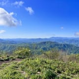 Appalachian Trail: Beauty Spot to Unaka Mountain, North Carolina - 193 ...