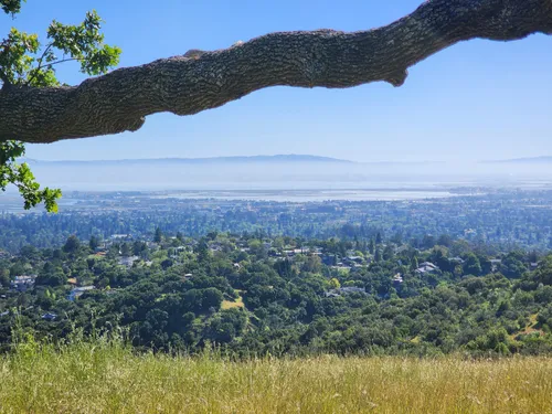 Best Moderate Trails in Edgewood Park and Nature Preserve | AllTrails