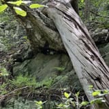 Hawksbill Loop Trail, Virginia - 4,451 Reviews, Map | AllTrails