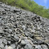 Hawksbill Loop Trail, Virginia - 4,451 Reviews, Map | AllTrails