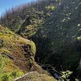 Oneonta Trail, Oregon - 724 Reviews, Map | AllTrails