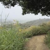 Temescal Canyon Trail, California - 10,278 Reviews, Map | AllTrails