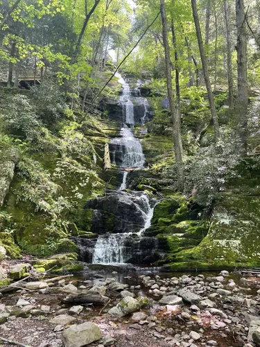 Best Lake Trails in Walpack | AllTrails