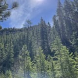 Botany Canyon, South Dakota - 549 Reviews, Map | AllTrails