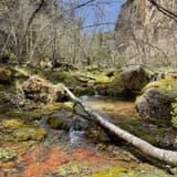 Botany Canyon, South Dakota - 549 Reviews, Map | AllTrails